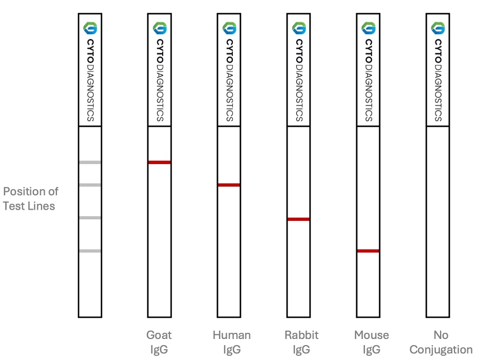 Conjugation QC Lateral Flow Dipstick Kit | CytoGroup